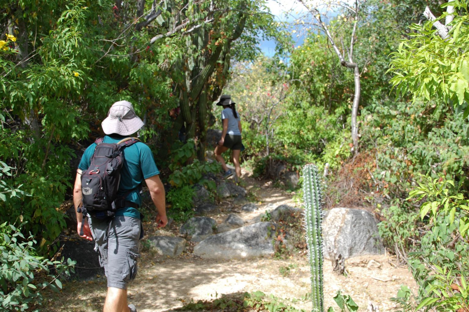 Hiking - Adventures in Baja