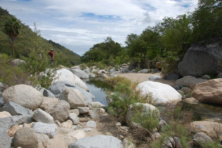 Hiking - Adventures in Baja